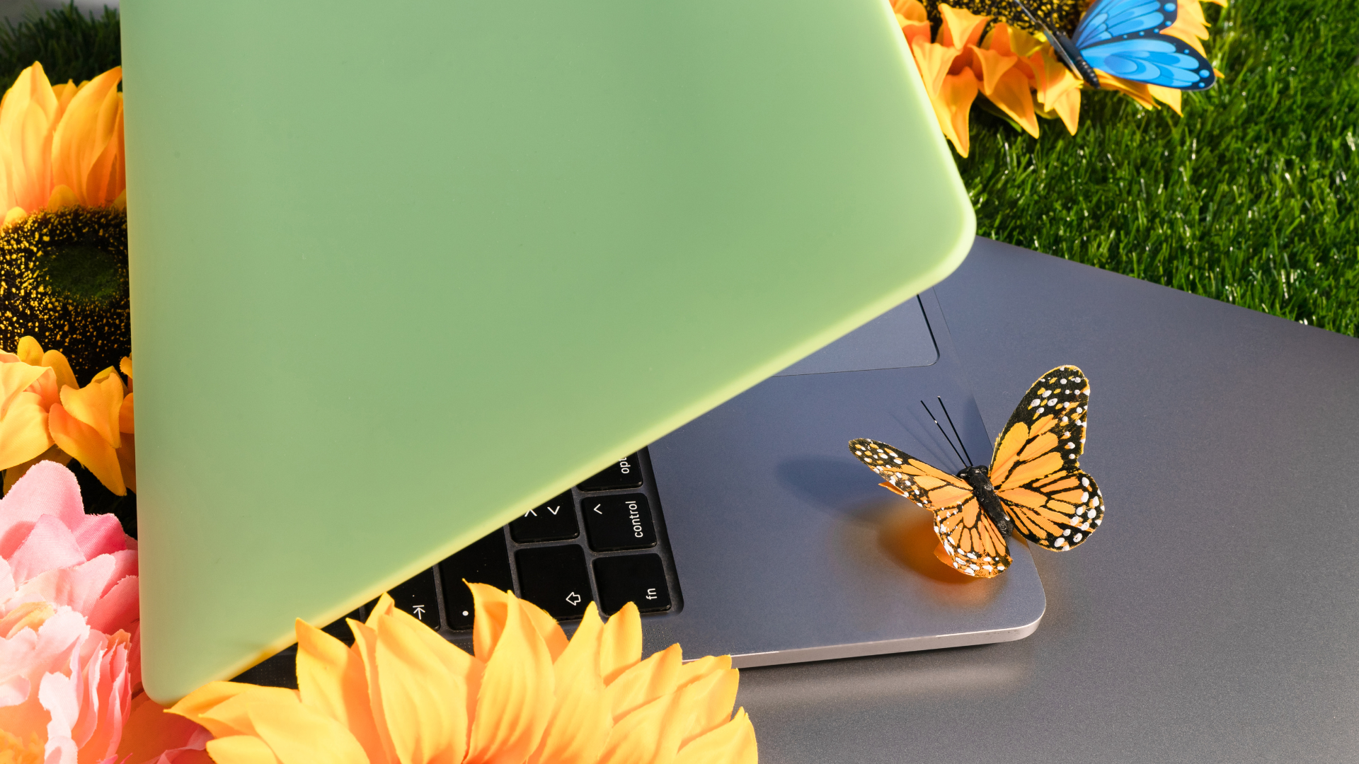 Balancing Tech and Nature: How to Use Smart Homes Without Losing the ...